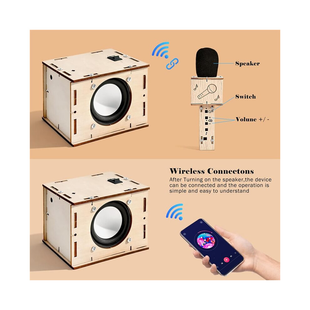 DIY Speaker Box Kit Electronic Sound Amplifier with 2 Wireless Mic ...