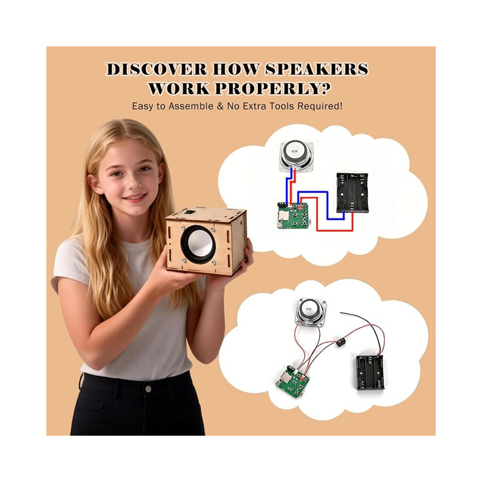 DIY Speaker Box Kit Electronic Sound Amplifier with 2 Wireless Mic ...