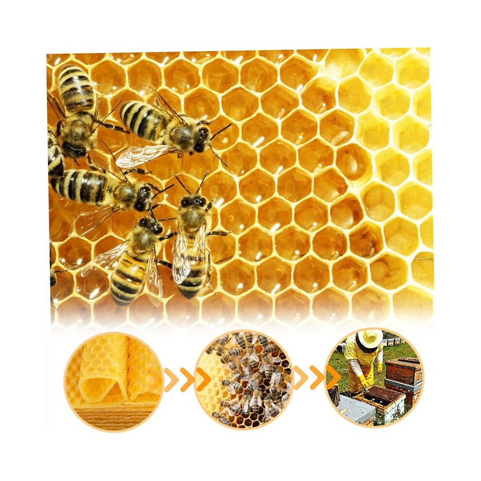 100PCS Beeswax Sheets for Candle Making DIY Candle Making Supplies Eco ...