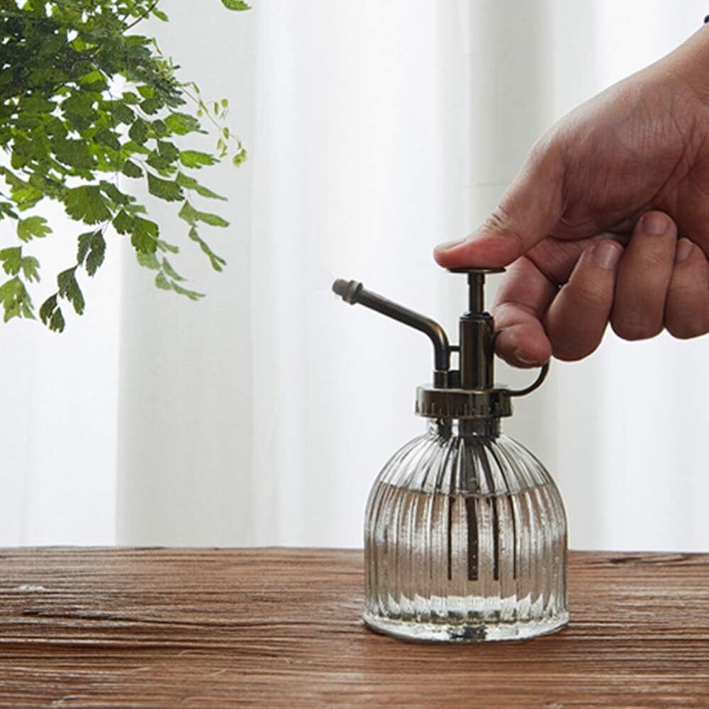 Le meilleur allié des jardiniers : cage à plantes en plastique de haute ...
