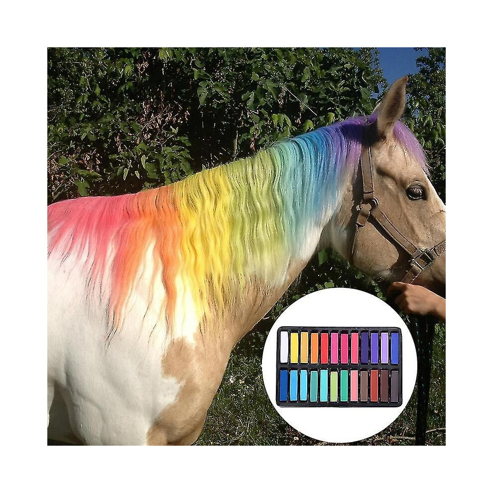 Kit de coloration temporaire non toxique à la craie pour crin de cheval ...