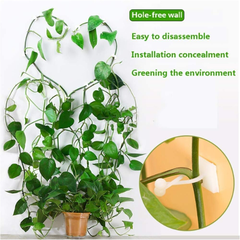 Crochet auto-adhésif pour plantes murales, supporte facilement les ...