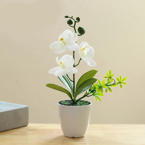 (Stripe pink) Fade Resistant Realistic Butterfly Orchids Simulation ...