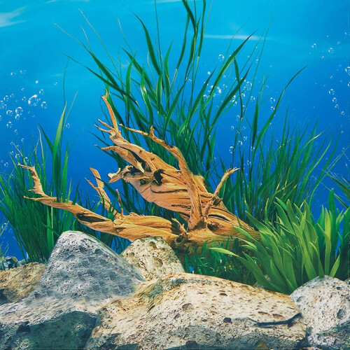 Papel de fondo de acuario HD imagen 3D fondo de pantalla de pecera ...