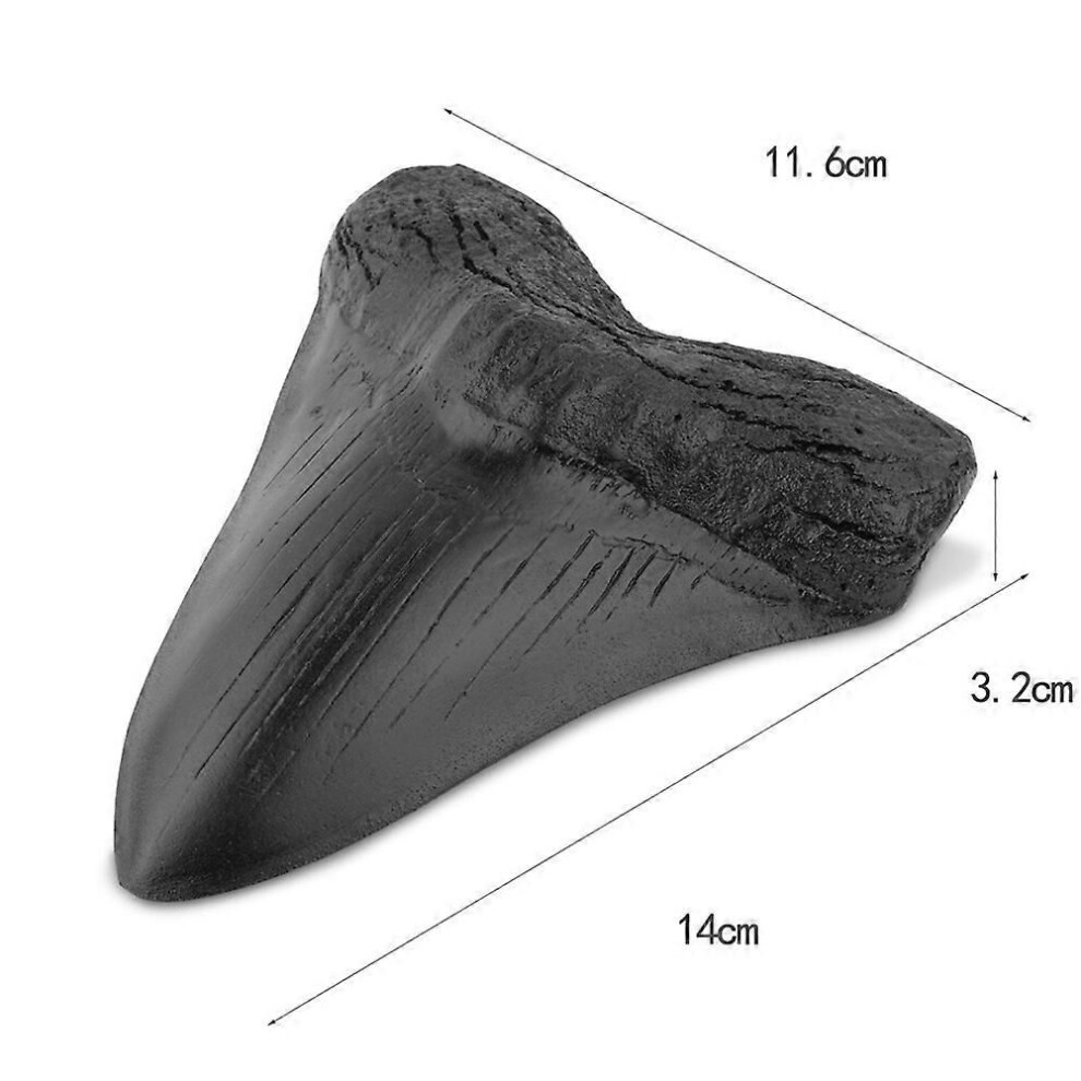 Resina Dente di Megalodonte Fossile Dente di Squalo Gigante Replica del ...