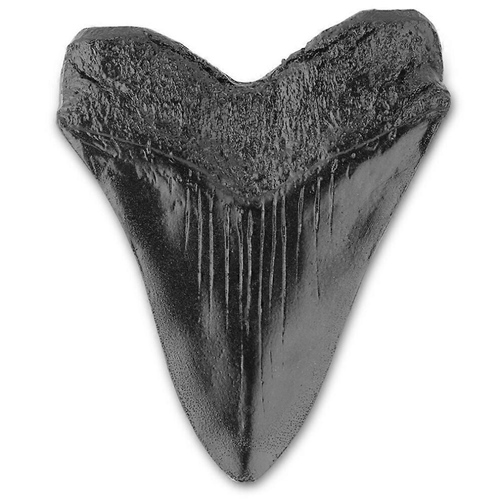 Resina Dente di Megalodonte Fossile Dente di Squalo Gigante Replica del ...