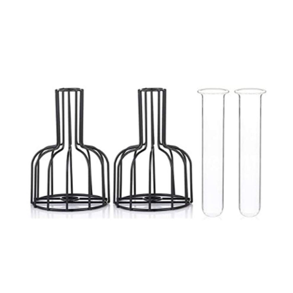 Conteneur pour plantes hydroponiques, vases en verre transparent ...