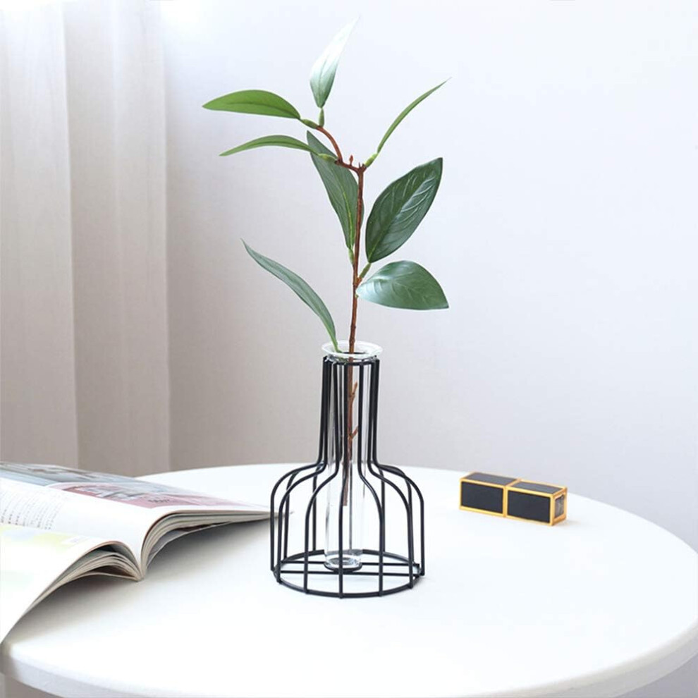 Conteneur pour plantes hydroponiques, vases en verre transparent ...