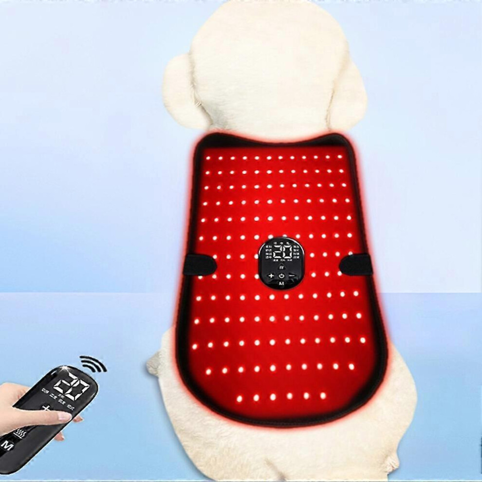 Portable Pet Therapy Device for Cats and Dogs with Injuries, Fractures ...