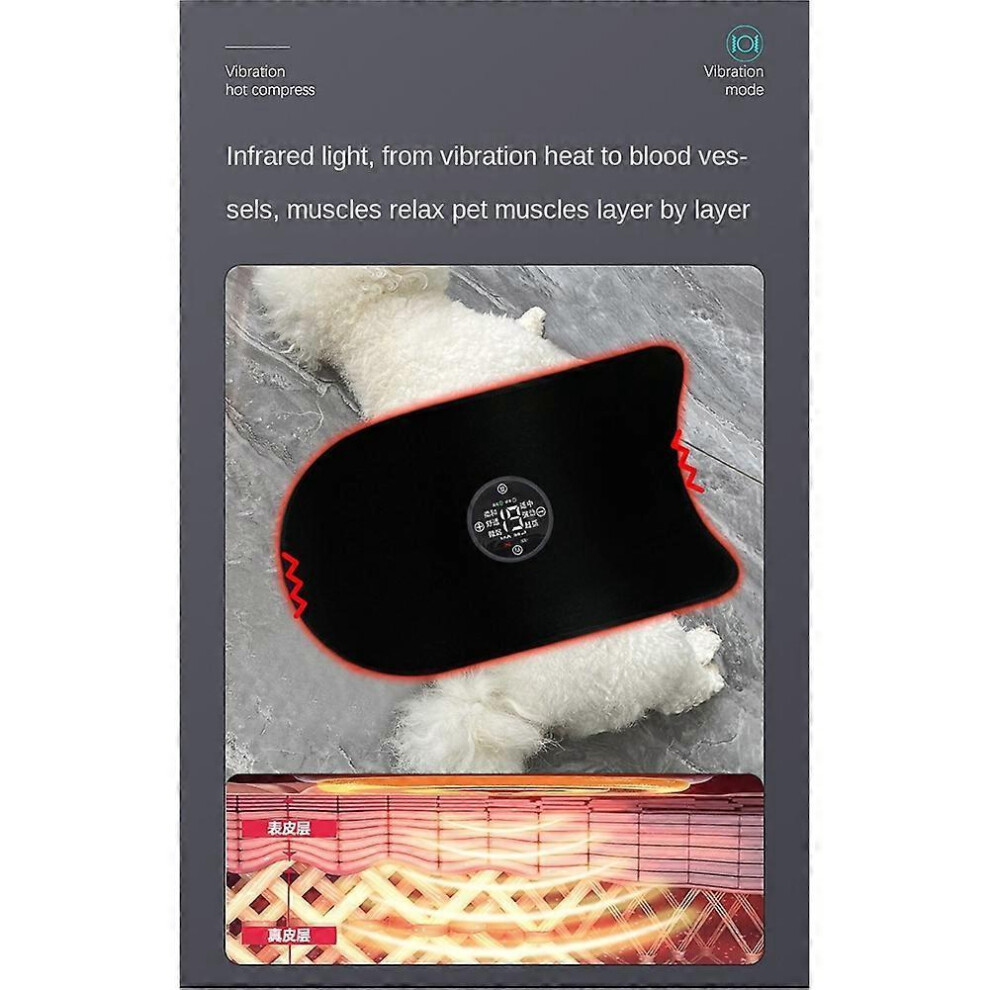 Portable Pet Therapy Device for Cats and Dogs with Injuries, Fractures ...