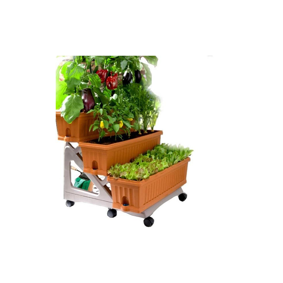 Jardinière - BAMA - VASO ORTO DI COCCIO - Plastique - Marron - 3 Pots ...