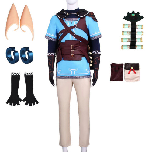 (Kids 120) The Legend of Zelda Tears of the Kingdom Link Cosplay ...