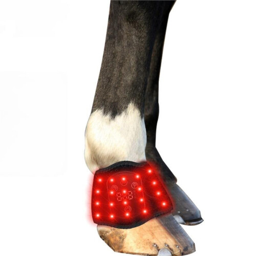 Equine Red Light Therapy Wrap for Hoof & Joint Pain Relief, Portable ...