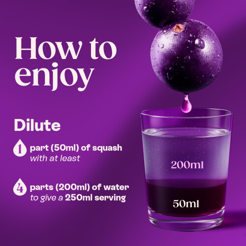 Ribena Blackcurrant Squash 850ml Real British Blackcurrants; Rich in on ...